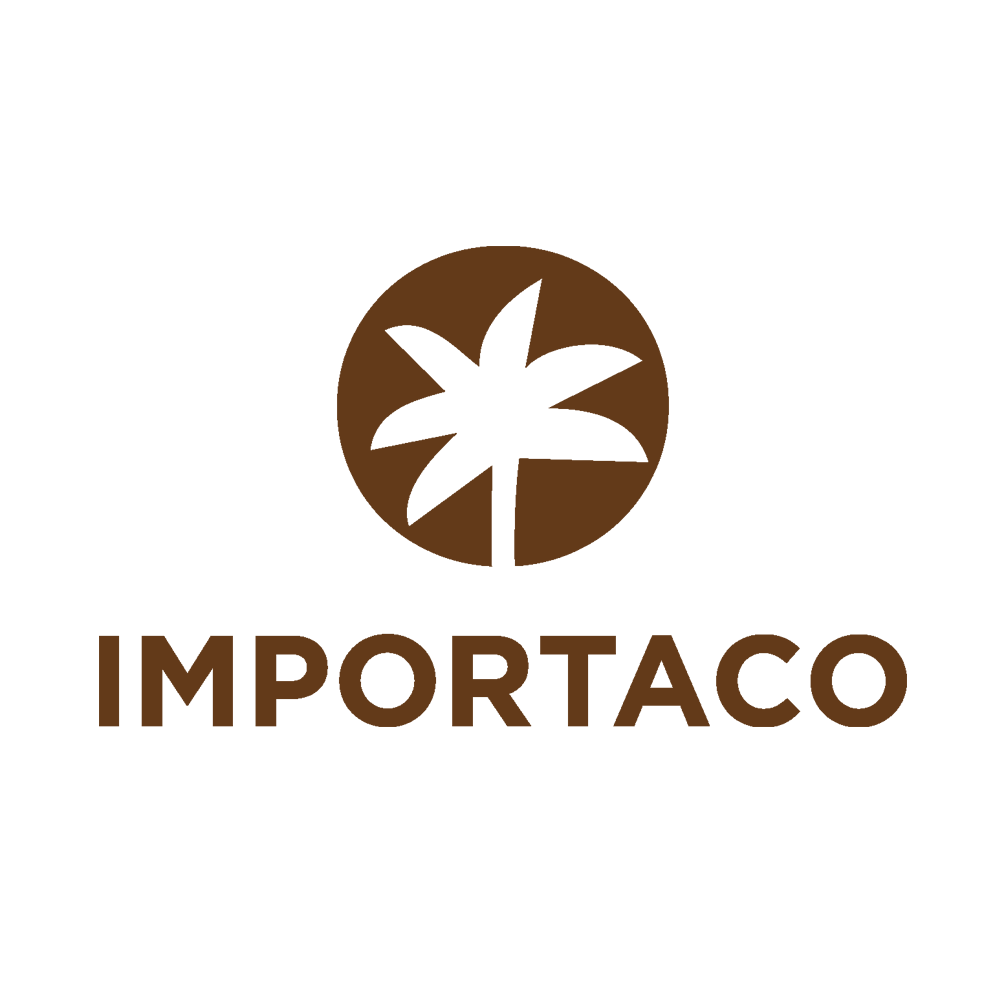 Visión y experiencia de Importaco en la Transición hacia un nuevo ...