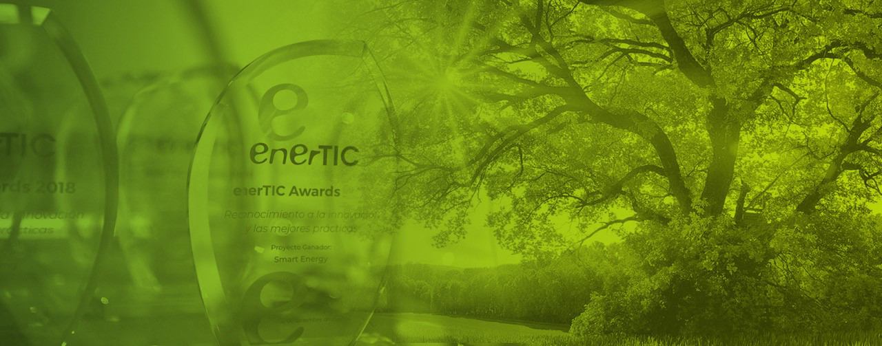Acto Oficial Entrega Galardones enerTIC Awards 2024 - Plataforma ...