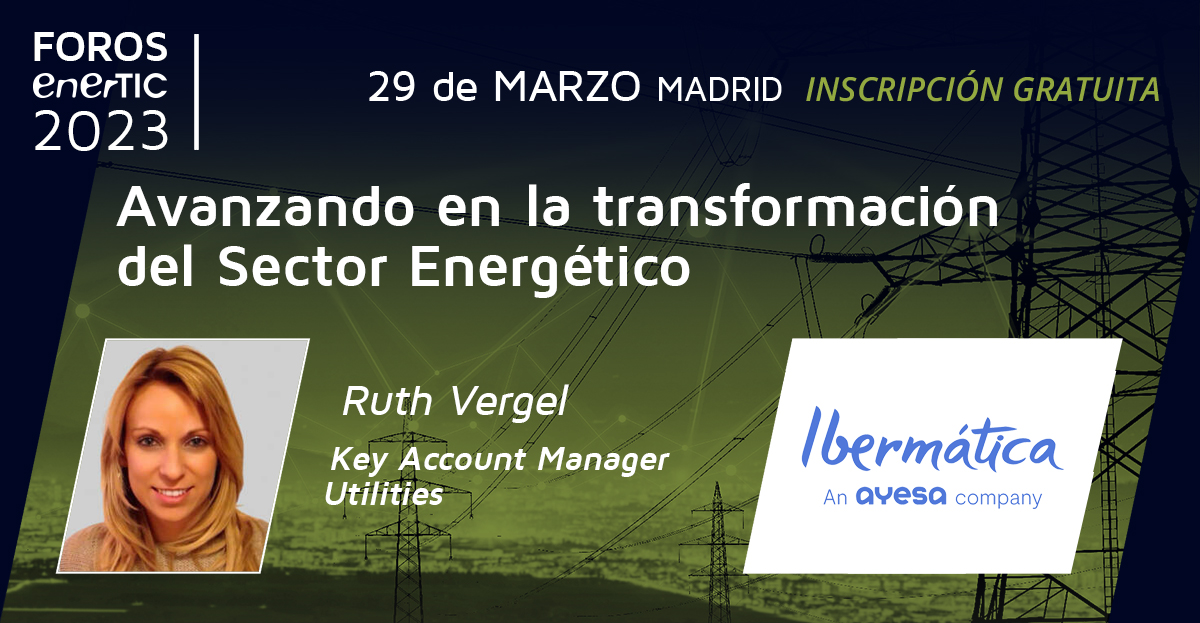 Estrategia y modelo de gestión de activos bajo un enfoque de plataforma ...